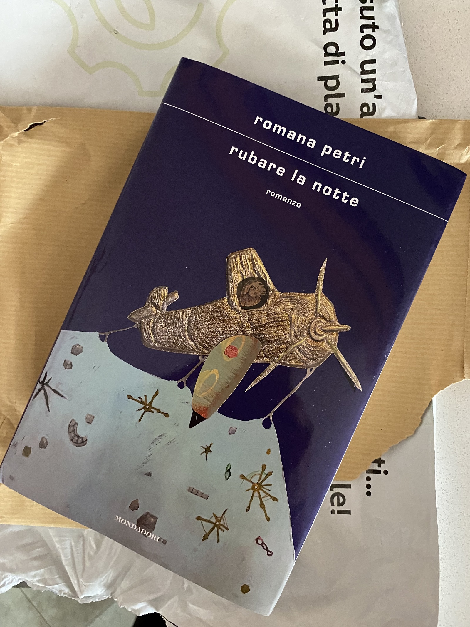 "Rubare la notte" - Romana Petri | Recensione